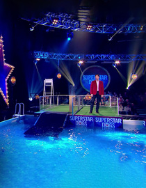 Watch S01 E08 - Episode 8 - Superstar Dogs | Free TV Shows | Fawesome TV