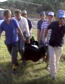 Watch Anatomy of Disaster S01-E07 | Free TV Shows | Fawesome TV