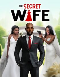 Watch The Secret Wife Full Movie Free Online - Fawesome TV