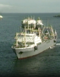 Watch Anatomy of Disaster S02-E05 | Free TV Shows | Fawesome TV